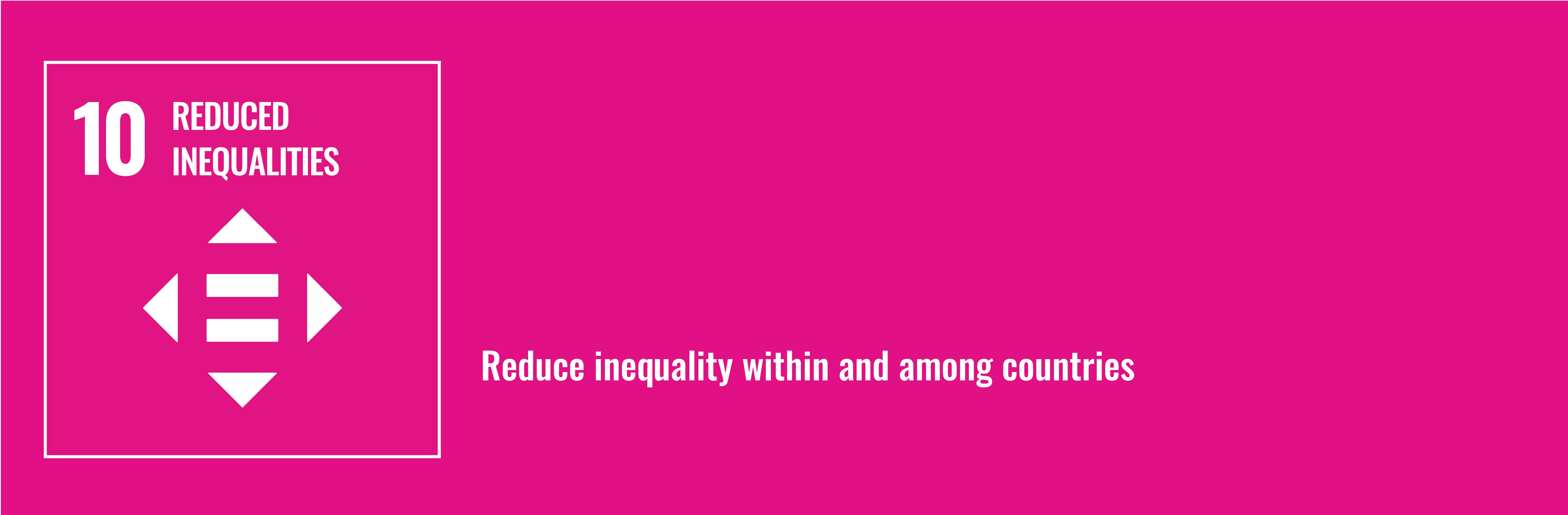 SDG 10