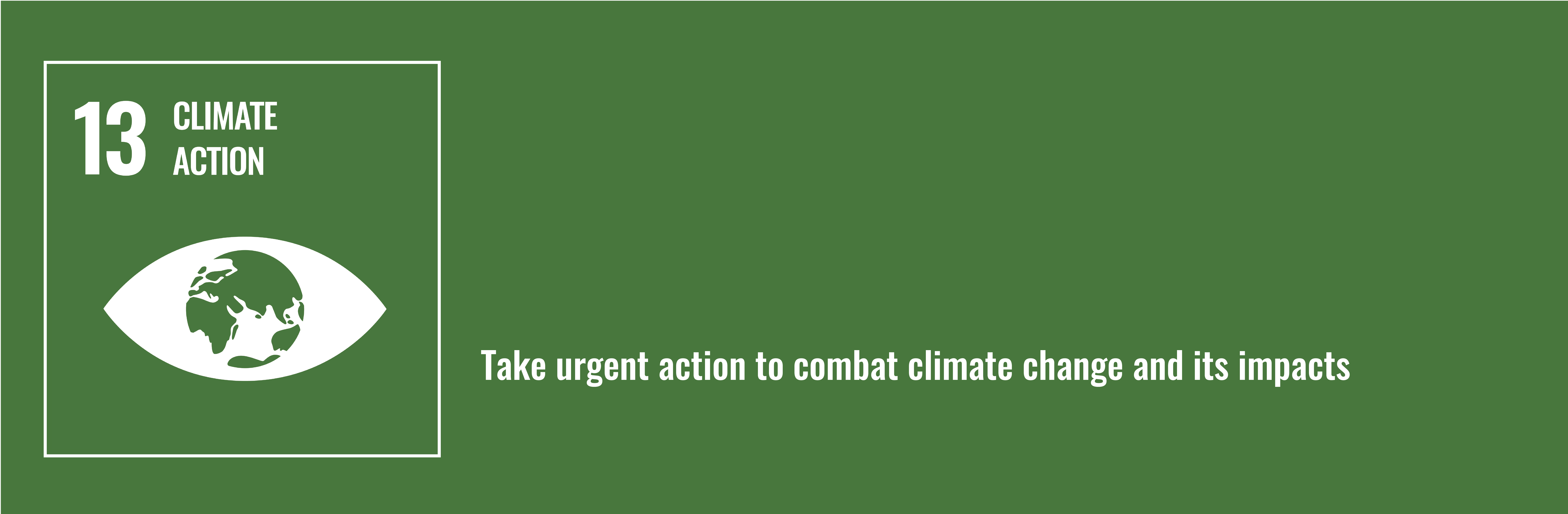 SDG 13
